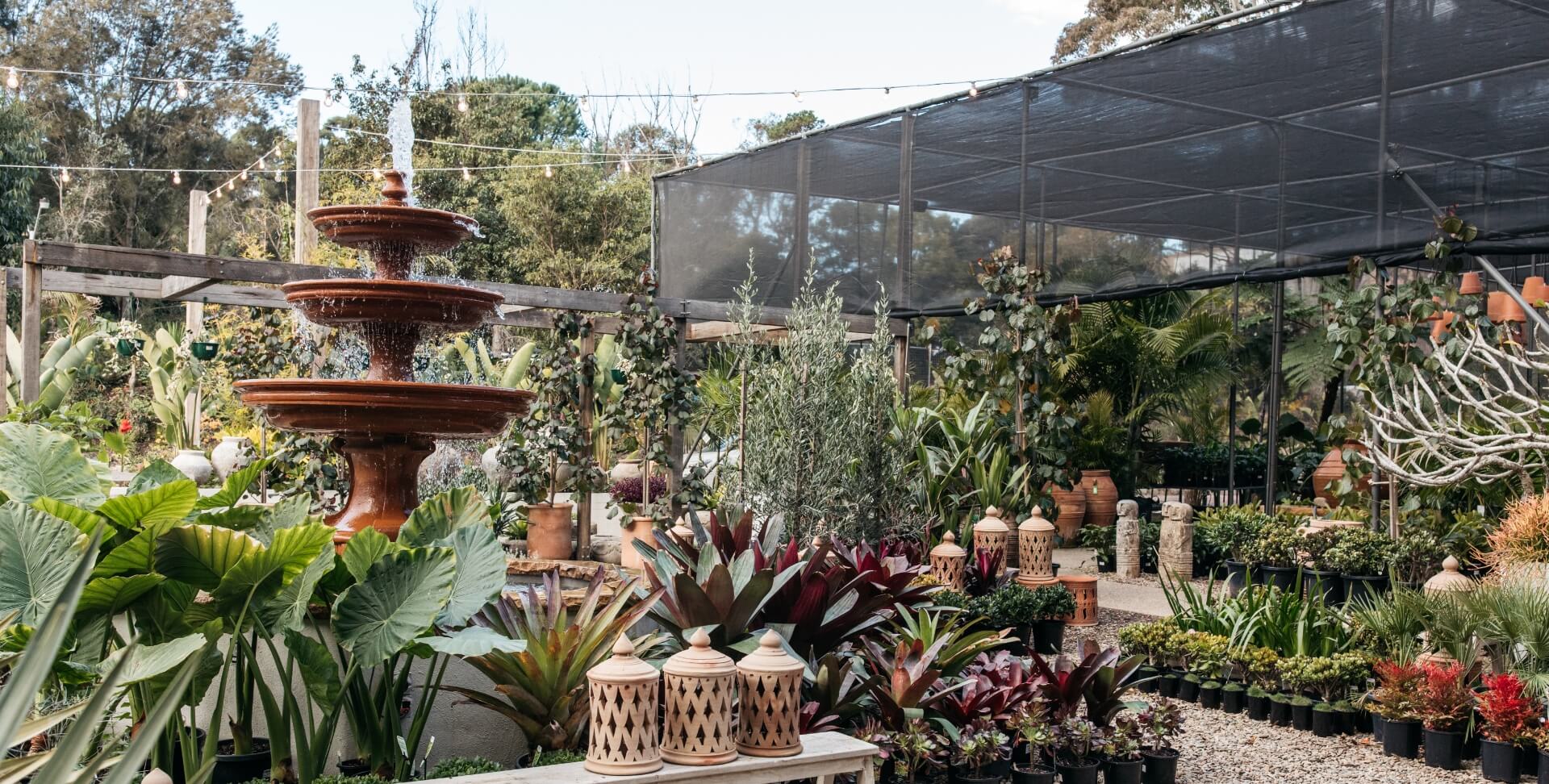 Nursery Terrey Hills | The Palms – The Palms Sydney