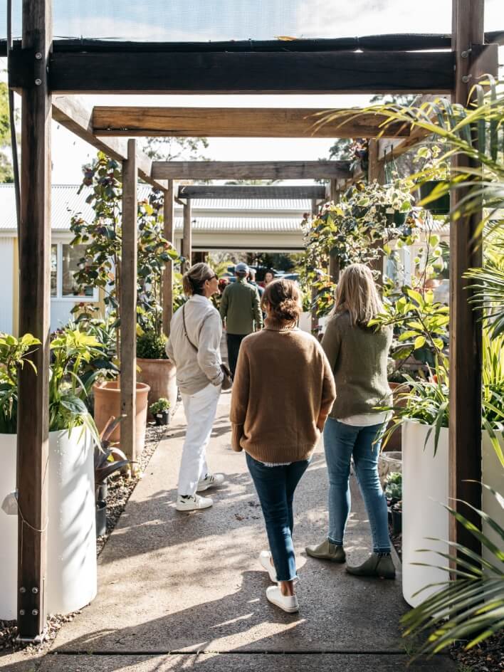 Nursery Terrey Hills | The Palms – The Palms Sydney