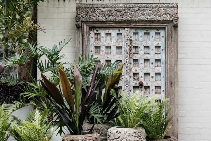 Nursery Terrey Hills | The Palms – The Palms Sydney