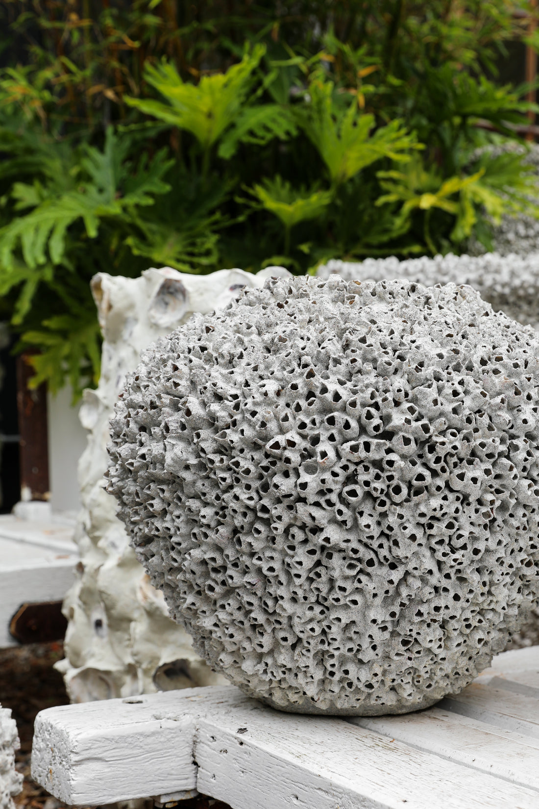 Barnacle Vase Pot – The Palms Sydney