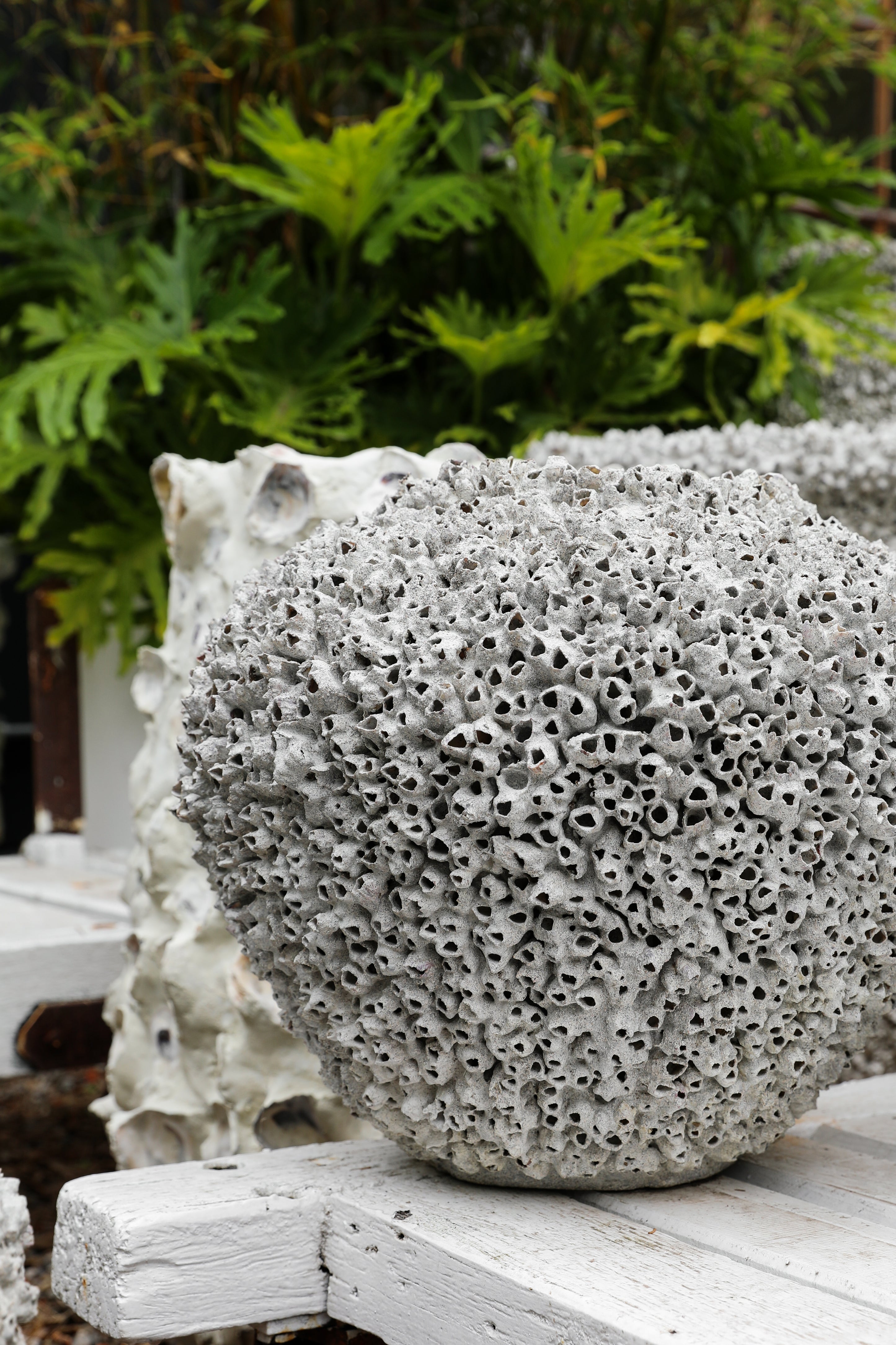 Barnacle Vase Pot – The Palms Sydney