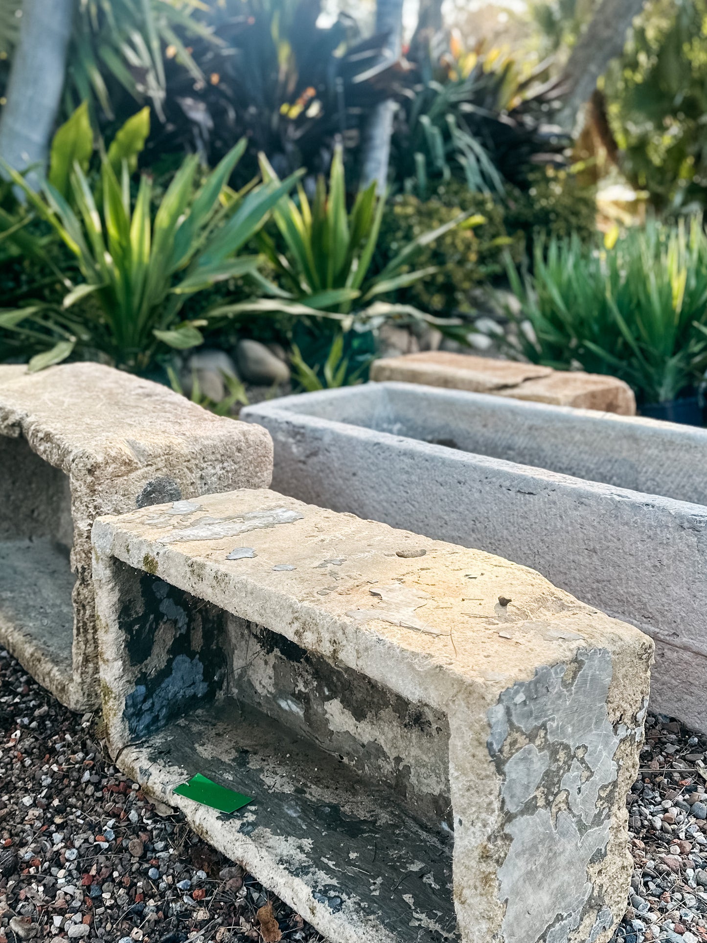 Solid Stone Trough – The Palms Sydney