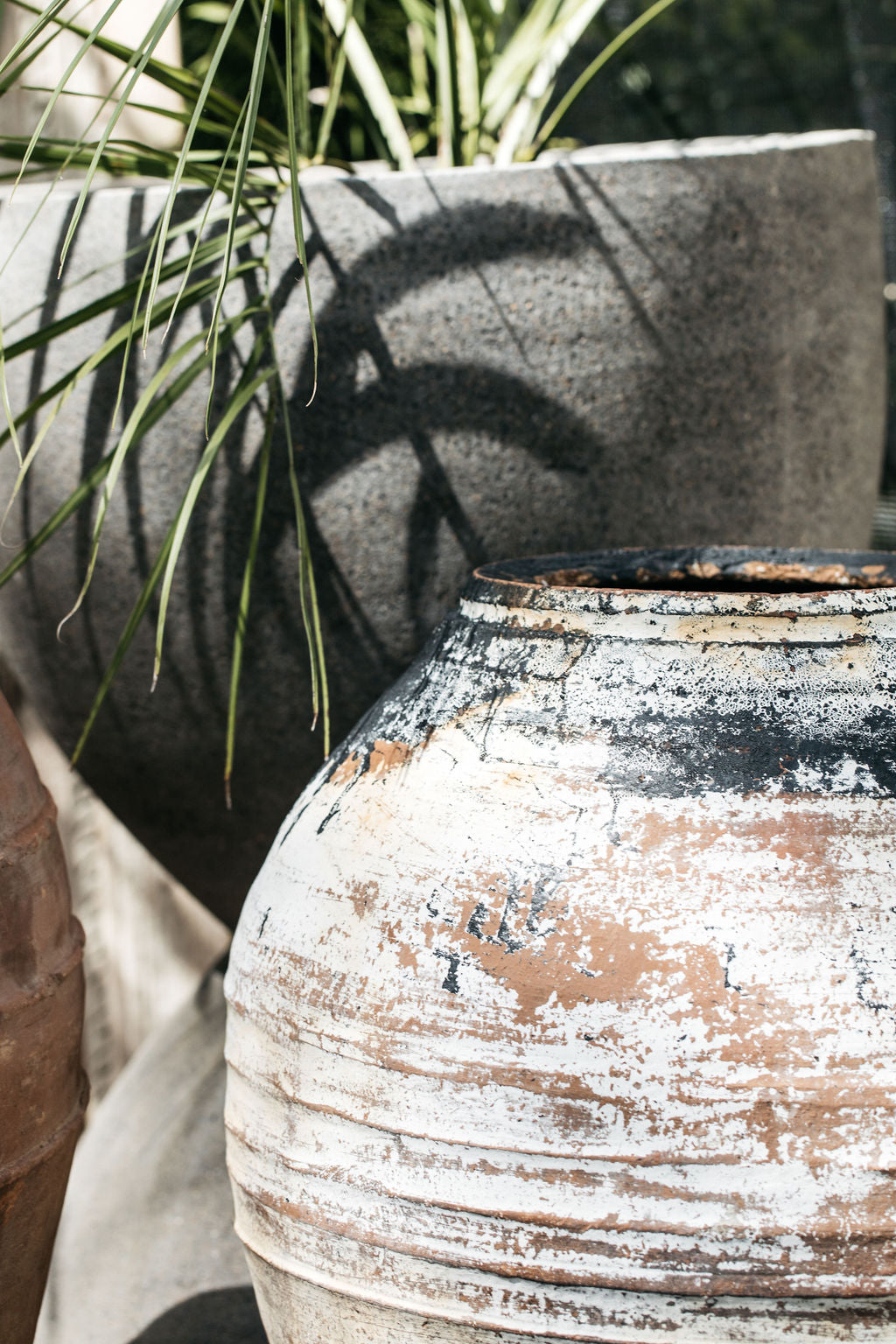Odemis Pot – The Palms Sydney
