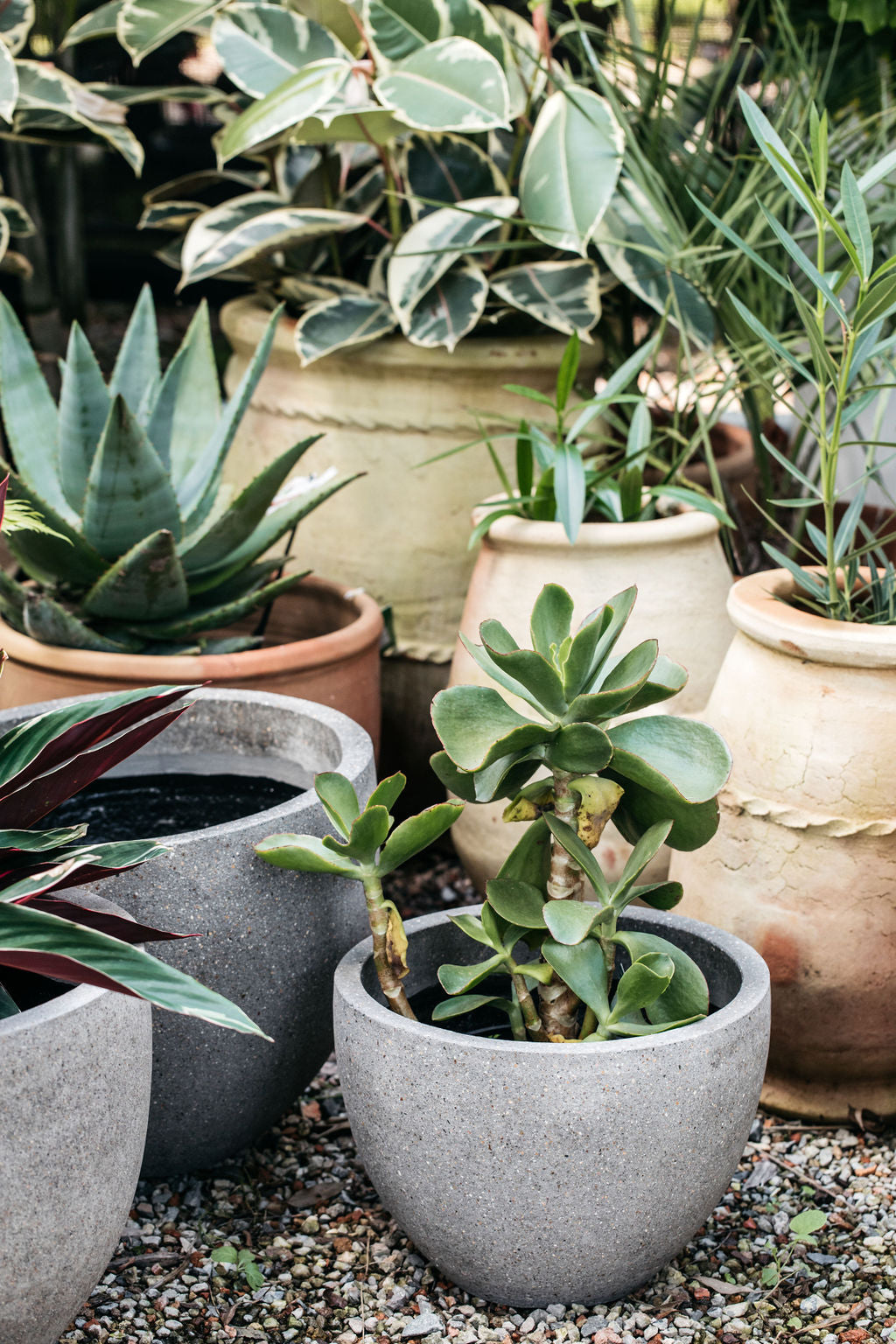 Palms Egg Planter Cement – The Palms Sydney